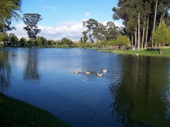 EL PATRIMONIO, FUENTE DE TURISMO EN KENNEDY: PARQUE LAGO TIMIZA